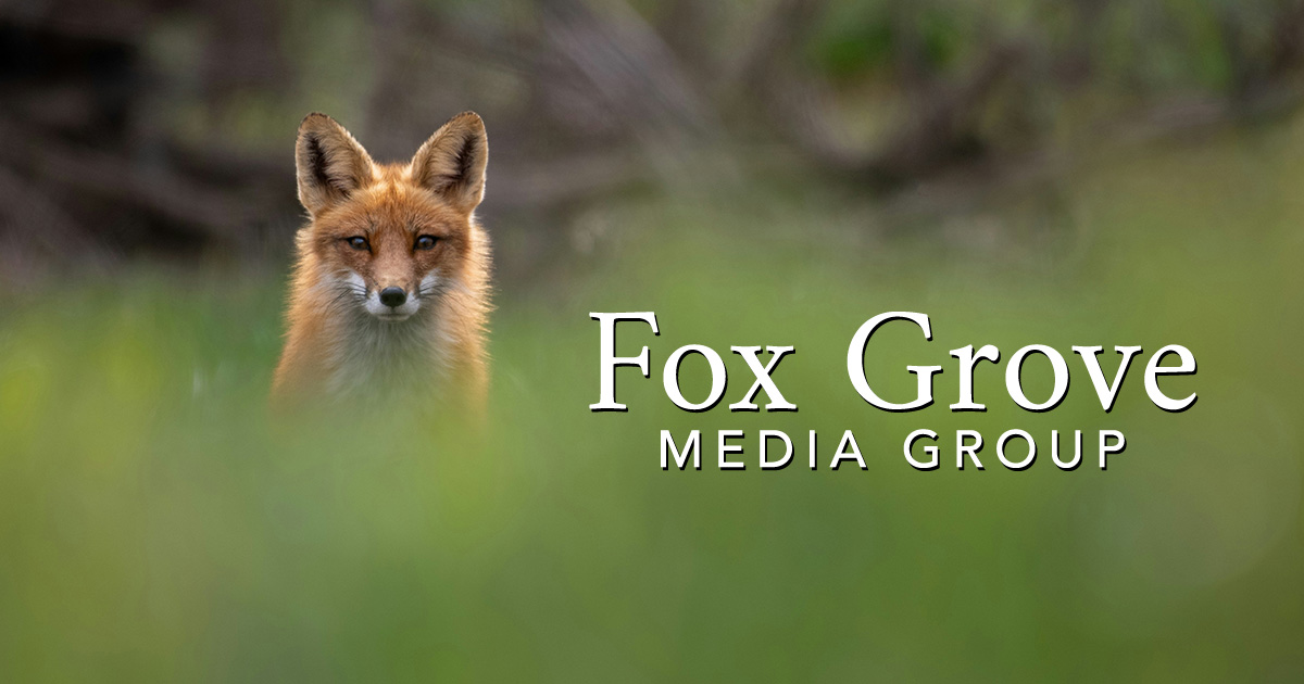 Building Fast, Secure, Accessible Websites | Fox Grove Media